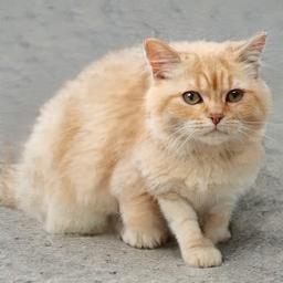 Follow @nathangloverAUS