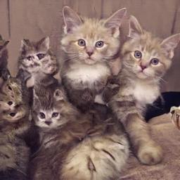 Follow @nathangloverAUS