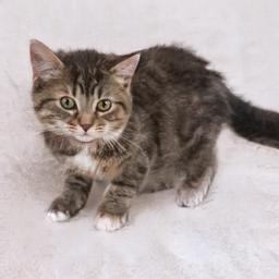 Follow @nathangloverAUS