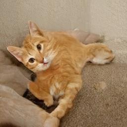 Follow @nathangloverAUS