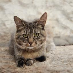 Follow @nathangloverAUS