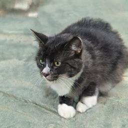 Follow @nathangloverAUS