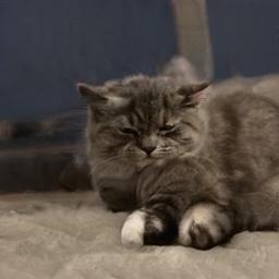 Follow @nathangloverAUS