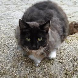 Follow @nathangloverAUS