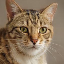 Follow @nathangloverAUS