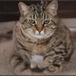 Follow @nathangloverAUS