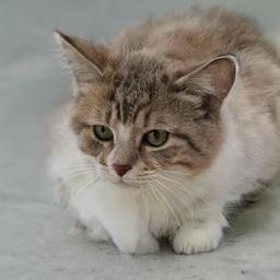 Follow @nathangloverAUS