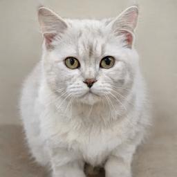 Follow @nathangloverAUS