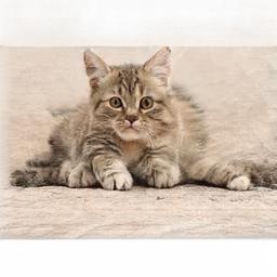 Follow @nathangloverAUS