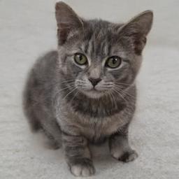 Follow @nathangloverAUS