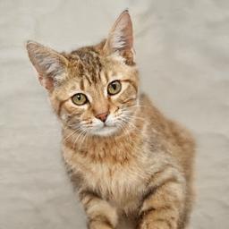 Follow @nathangloverAUS