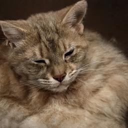 Follow @nathangloverAUS