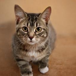 Follow @nathangloverAUS