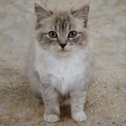 Follow @nathangloverAUS