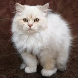 Follow @nathangloverAUS