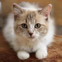 Follow @nathangloverAUS