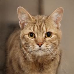 Follow @nathangloverAUS