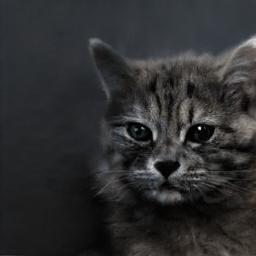 Follow @nathangloverAUS