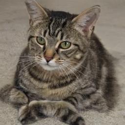 Follow @nathangloverAUS