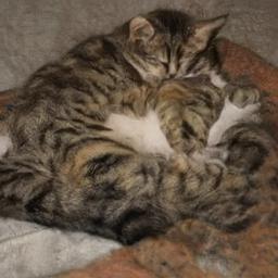 Follow @nathangloverAUS